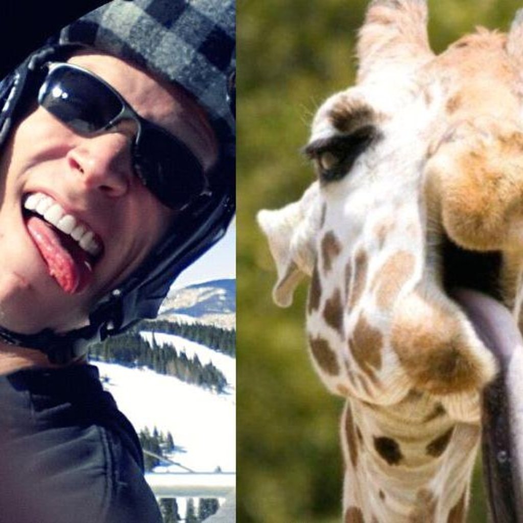 Python How To Efficiently Parse Fixed Width Files Stack Overflow