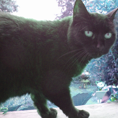 How To Delete A Substring Using Shell Script Stack Overflow