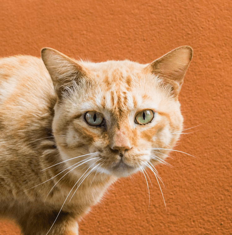 Converting An Int To A Binary String Representation In Java Stack