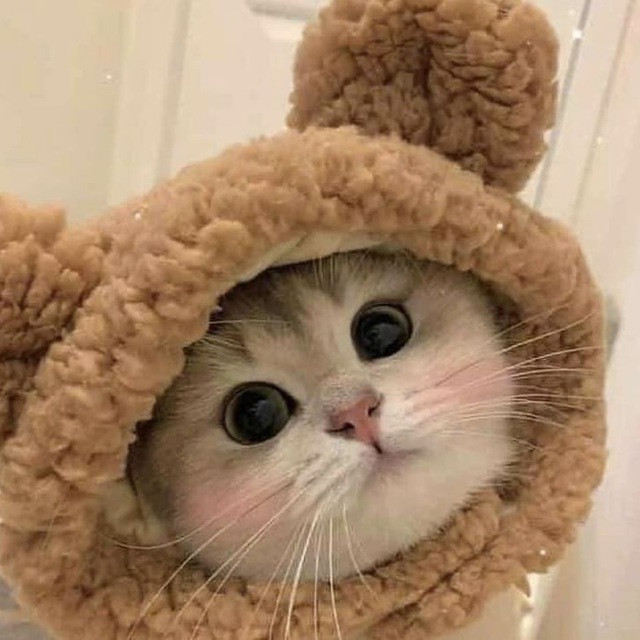 Reactjs Warning You Are Currently Running A Version Of Typescript