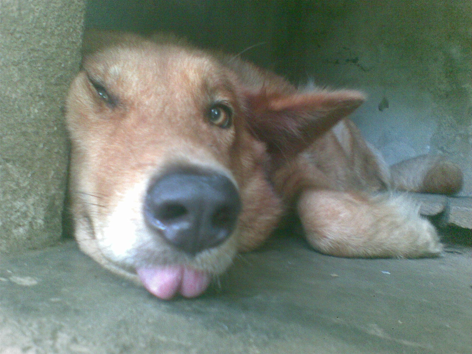 C Richtextbox Wpf Binding Stack Overflow