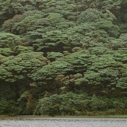 Matplotlib How To Do A Scatter Plot With Empty Circles In Python