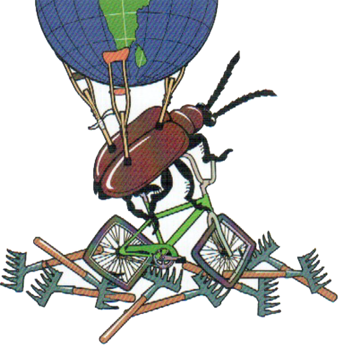 Evaluating A String As A Mathematical Expression In Javascript Stack