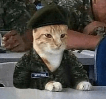 Dictionary Map Vs Object In Javascript Stack Overflow