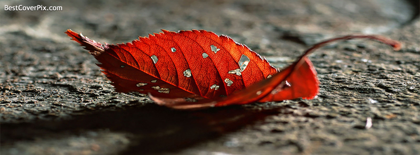 Reactjs React Display Loading Screen While Dom Is Rendering