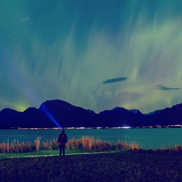 Javascript Bootstrap Alert Auto Close Stack Overflow