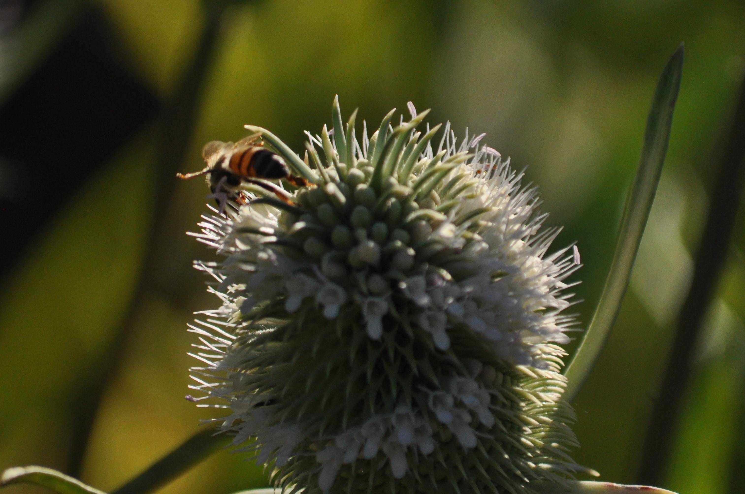 Python Runtimeerror Main Thread Is Not In Main Loop Stack Overflow