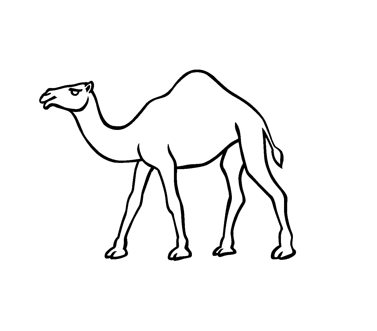 Python Pandas Merge Only Certain Columns Stack Overflow