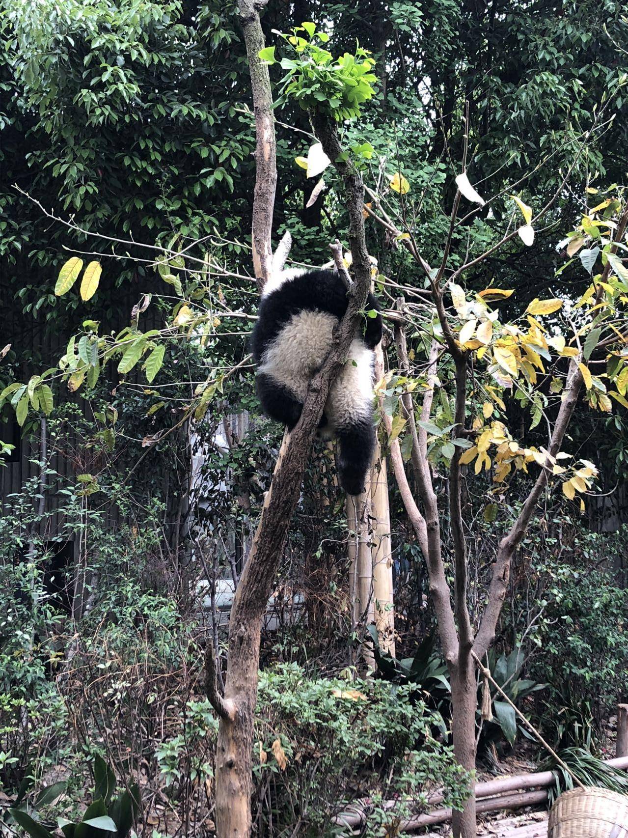 Java How To Evaluate A Math Expression Given In String Form Stack