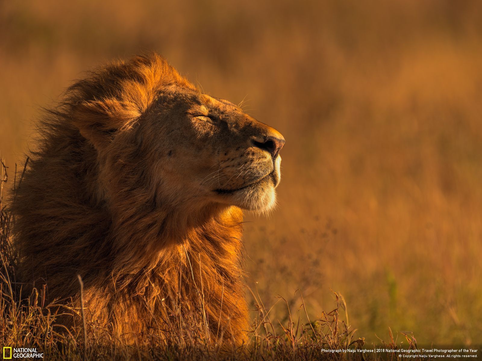 Python Move Column In Pandas Dataframe Stack Overflow