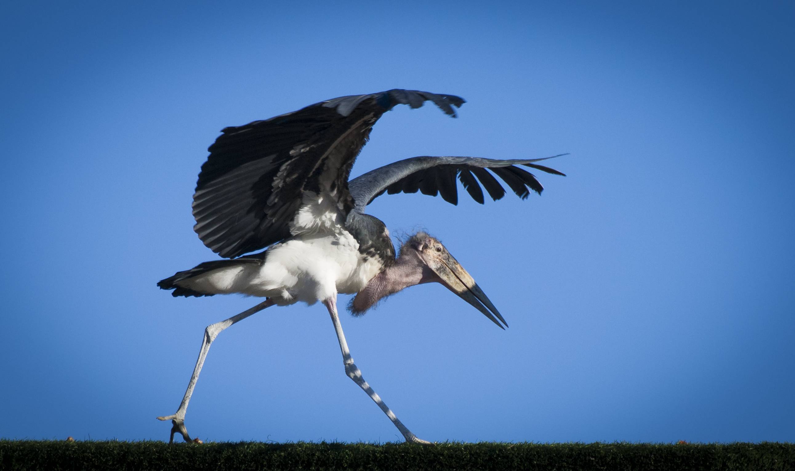 Python How Can I Quantify Difference Between Two Images Stack Overflow