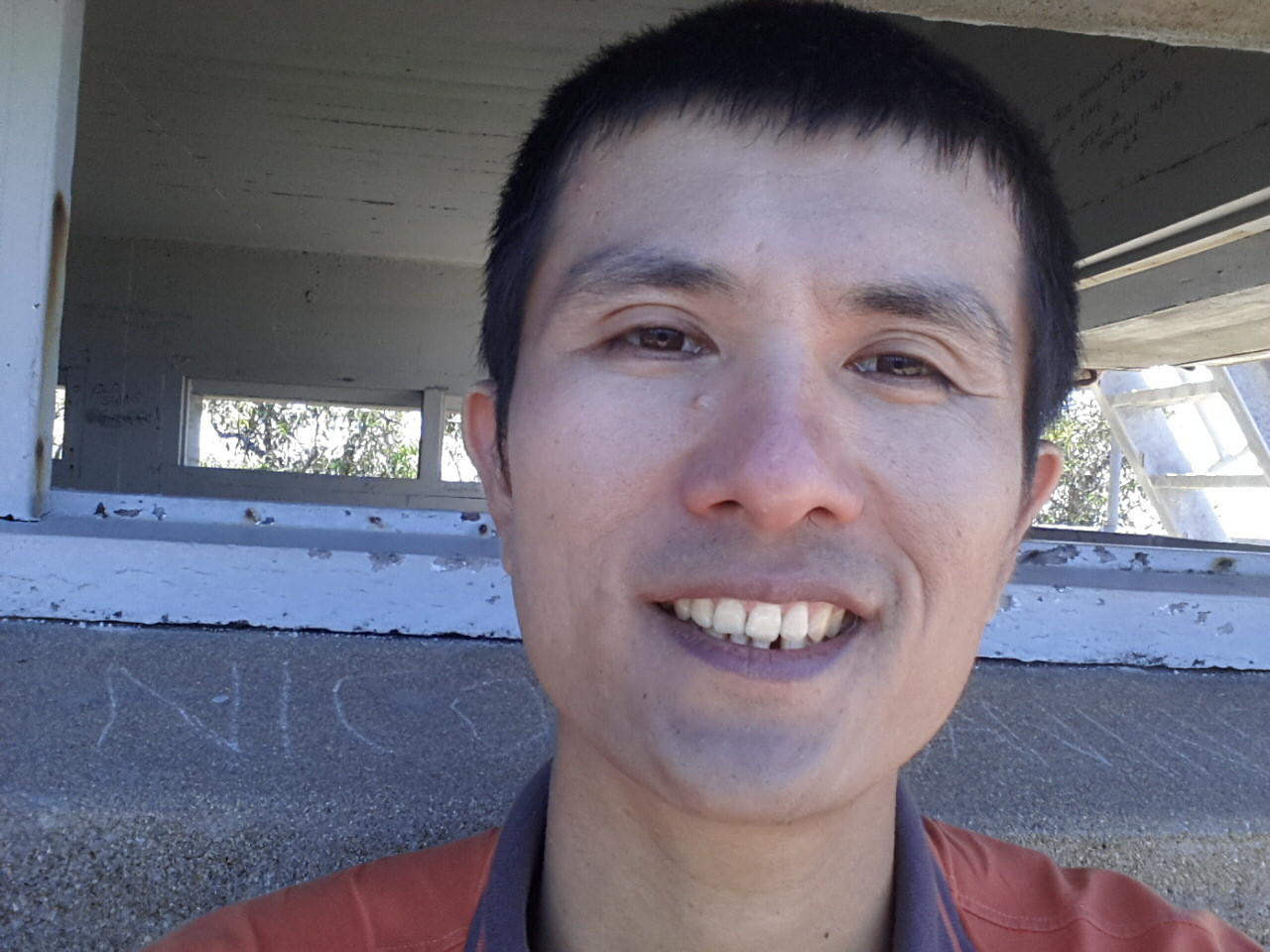 Python Inserting Image Into Ipython Notebook Markdown Stack Overflow