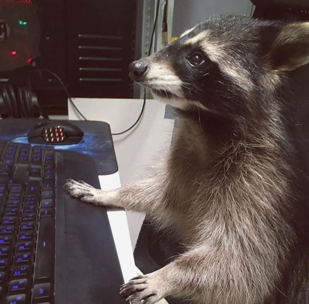 Python Attributeerror Datetime Module Has No Attribute Strptime