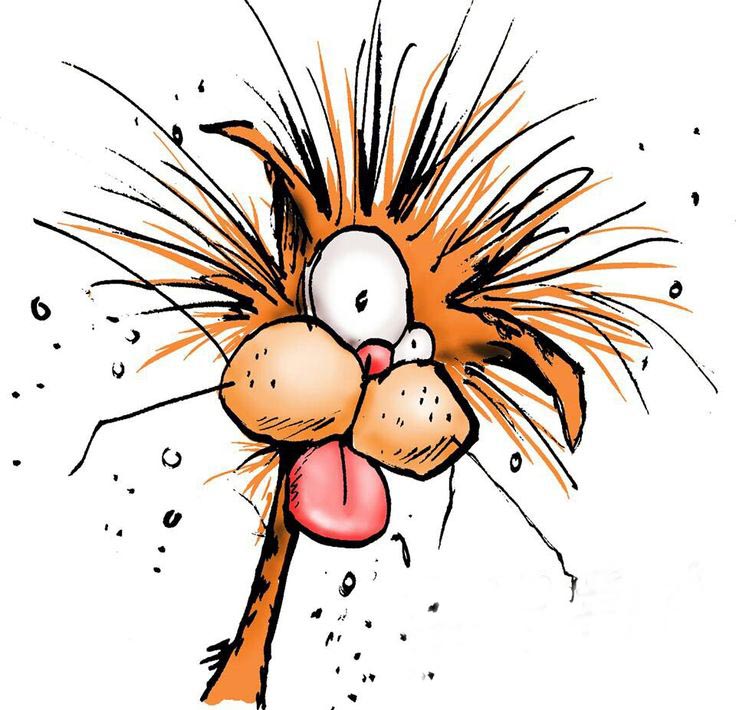 C Ignore Null Values When Serializing Json Stack Overflow