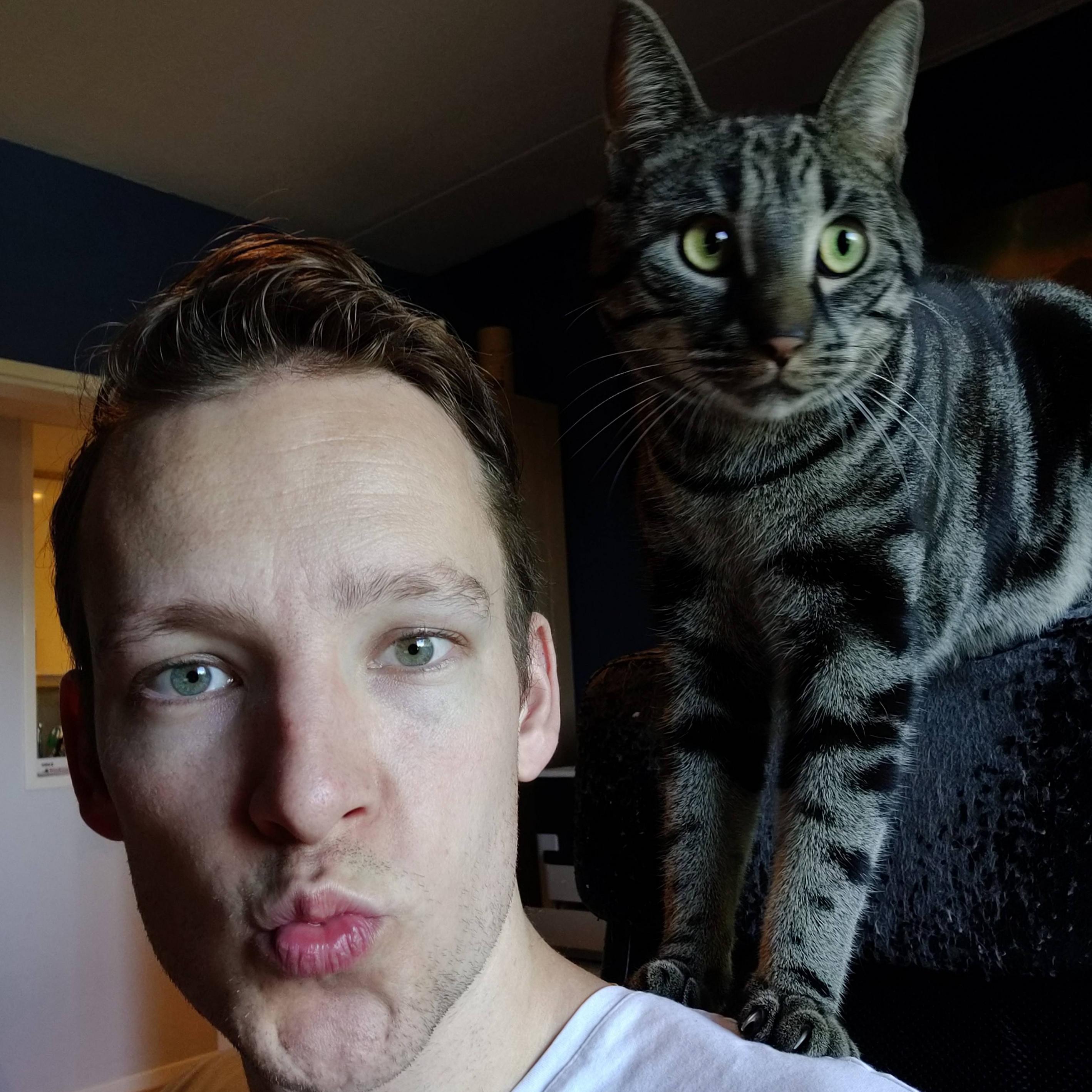 Python How To Use Sequencematcher To Find Similarity Between Two