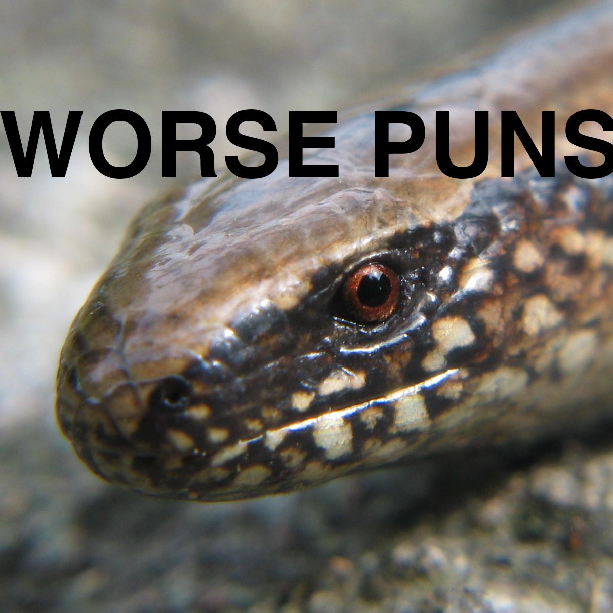 Python Numpy Resize Rescale Image Stack Overflow