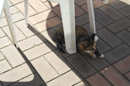 Pytest Cannot Import Module While Python Can Stack Overflow