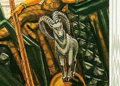 Python Delete Blank Rows From Csv Stack Overflow