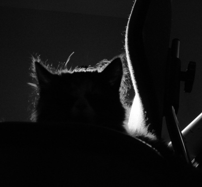 How To Re Import An Updated Package While In Python Interpreter