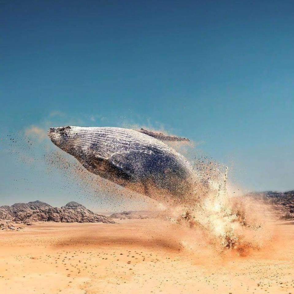 Python How To Remove Items From A List While Iterating Stack Overflow