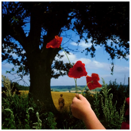 Java The Import Org Springframework Cannot Be Resolved Stack