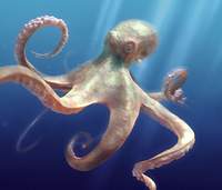 C Semantic Errors Stack Overflow