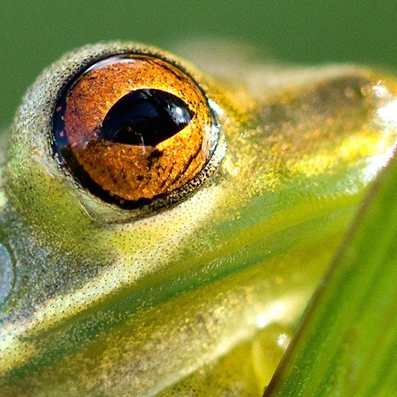 How To Resolve Python Libraries Dependencies When Using Pip Stack