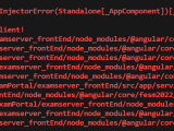 Angular Nullinjectorerror R3injectorerror Standalone Appcomponent