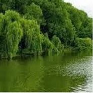 Java Could Not Initialize Plugin Interface Org Mockito Plugins