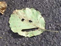 Python Step By Step Debugging With Ipython Stack Overflow