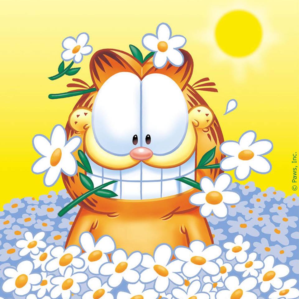 React Native Android Build Failed Sdk Location Not Found Stack Overflow