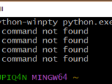 Bash Alias Python Winpty Python Exe Not Found Error When Staring