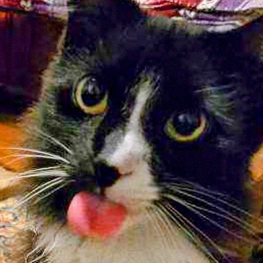 Python Bulk Insert With Sqlalchemy Orm Stack Overflow