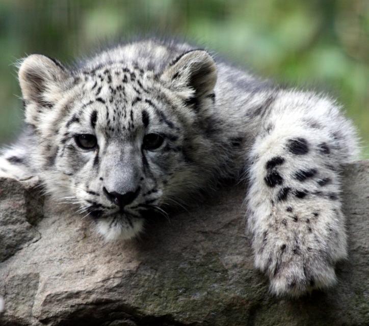 What Is The Best Way To Do A Substring In A Batch File Stack Overflow