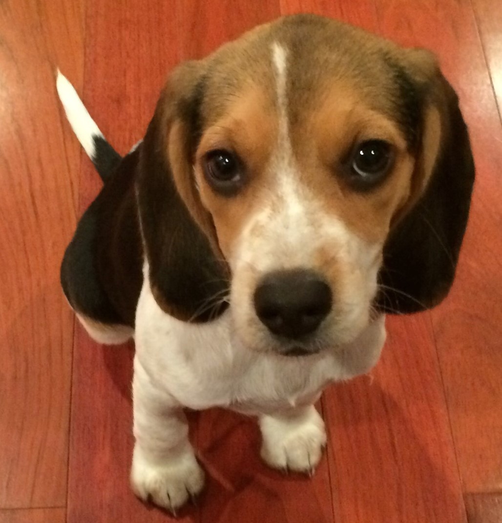 Exception How Can I Solve Java Lang Noclassdeffounderror Stack