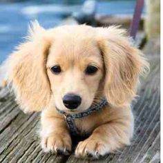 Python Reloading Submodules In Ipython Stack Overflow