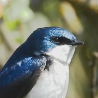 Javascript Difference Between Tofixed And Toprecision Stack