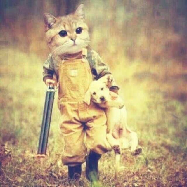 Pytest Cannot Import Module While Python Can Stack Overflow