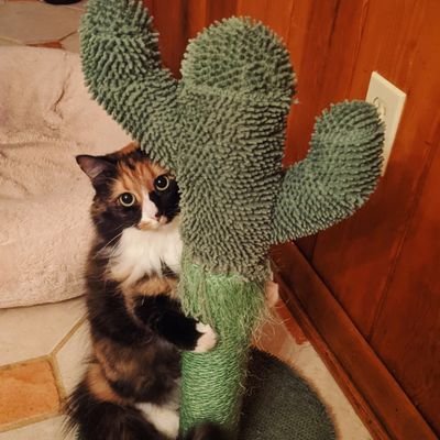 Methods Does Java Support Default Parameter Values Stack Overflow