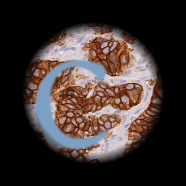 Python Converting Numpy Arrays To Matlab And Vice Versa Stack