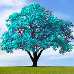 Vba Dir Function Understanding Stack Overflow