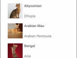 Xamarin Forms Shell