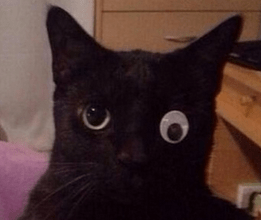 Phpmyadmin Find And Replace Text In The Entire Table Using A Mysql