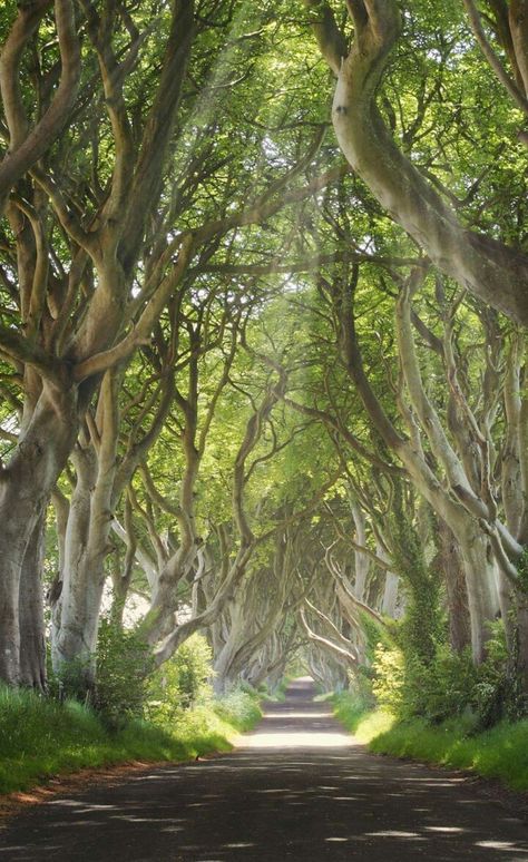 Git Authentication Failed For Https Xxx Visualstudio