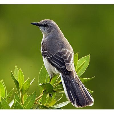 C Filter Linq Except On Properties Stack Overflow