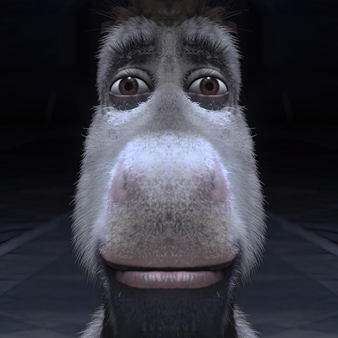 Reactjs Warning You Are Currently Running A Version Of Typescript