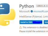 Python Does Extension In Vscode Affect To The Remote Server Stack