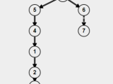 Graph Draw The Depth First Search Tree Stack Overflow