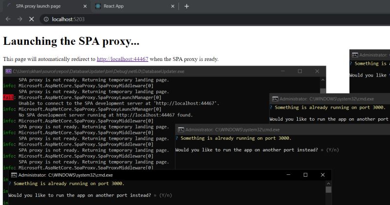C Net Core React Template After Replacing Reactjs Ui Project With - Gradient Pattern Collection - High Resolution Quality