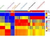 Python Plotting A 2d Heatmap Stack Overflow